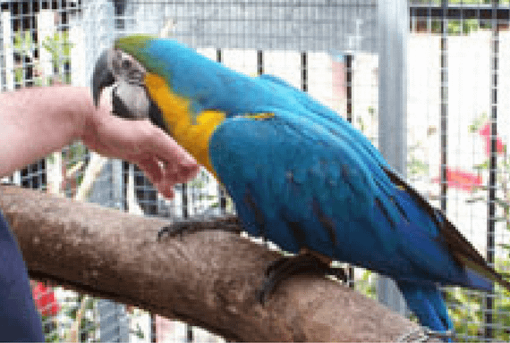 Smuggler's Cove Holiday Village - Caravan Camping NSW